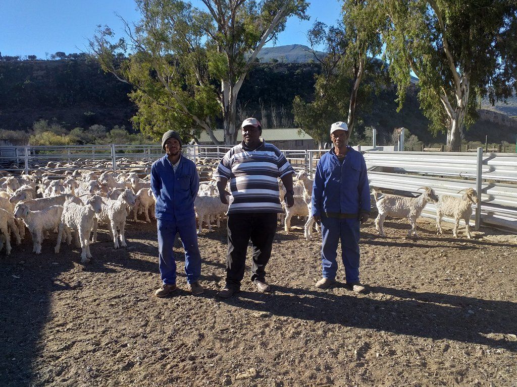 Driefontein Farm